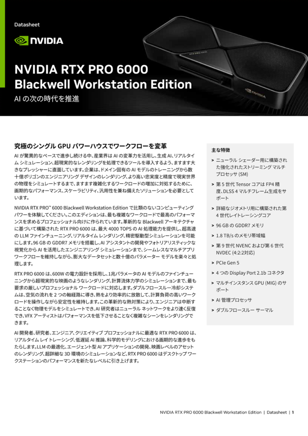 RTX PRO 6000 Blackwell